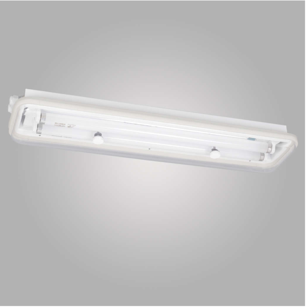 FLUORESCENT CEILING LIGHTS – Dream Marine